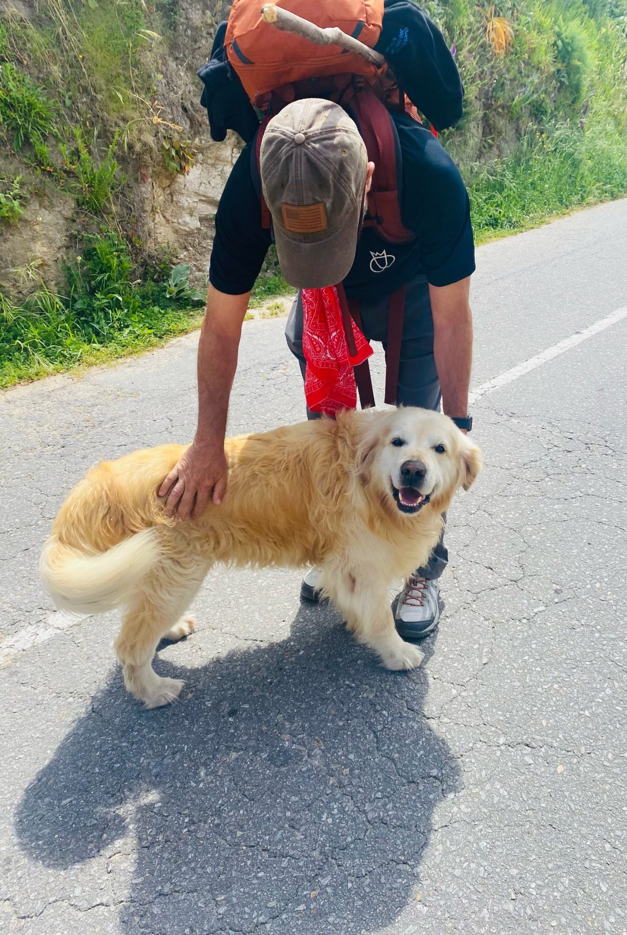 Camino Portuguese, Day 15: Caldas de Reis to Padrón - The Hallowed Way