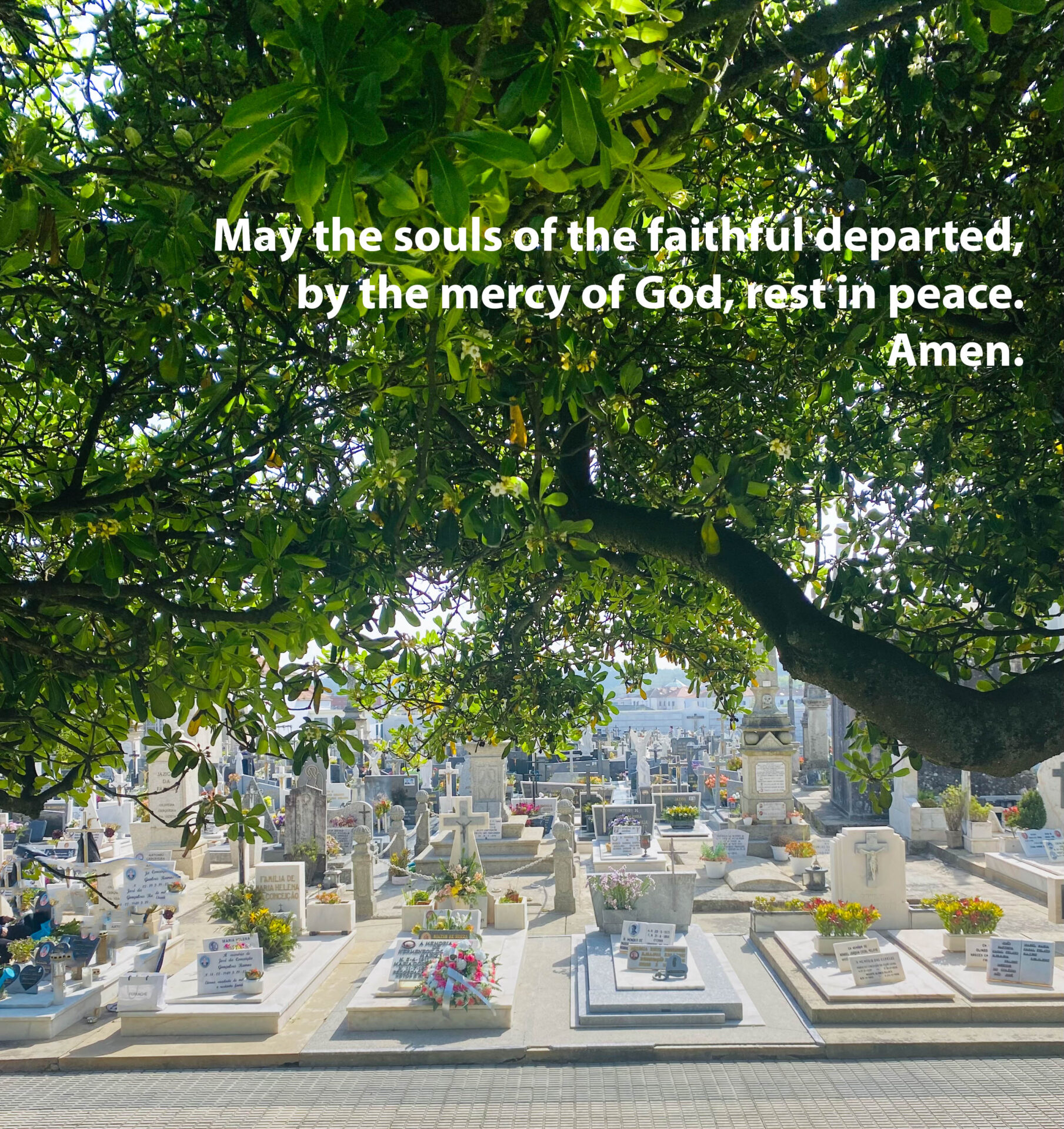 Happy All Souls Day from two pilgrims - The Hallowed Way